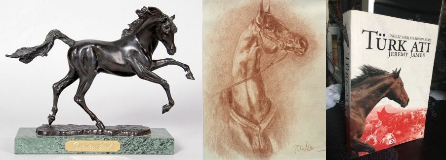 Türk Atı - İngiliz Yarış Atlarının Atası | Blog | Ata Sporları Federasyonu